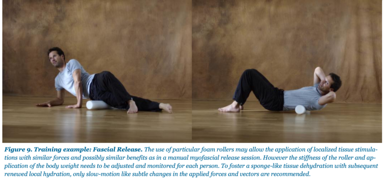 6 Fascial Fitness Training Principles - FASCIA TRAINING ACADEMY
