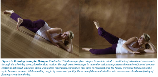 6 Fascial Fitness Training Principles - FASCIA TRAINING ACADEMY