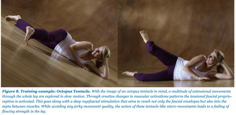 6 Fascial Fitness Training Principles - FASCIA TRAINING ACADEMY