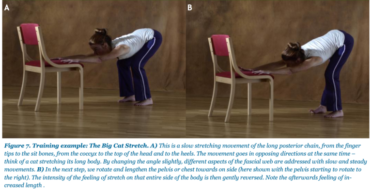 6 Fascial Fitness Training Principles - FASCIA TRAINING ACADEMY