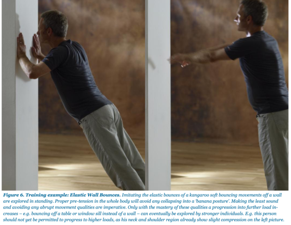 6 Fascial Fitness Training Principles - FASCIA TRAINING ACADEMY