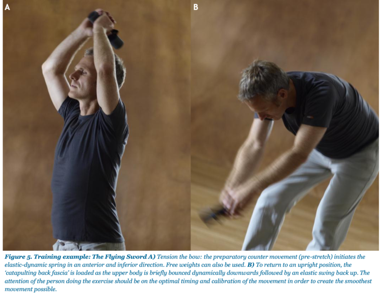 6 Fascial Fitness Training Principles - FASCIA TRAINING ACADEMY