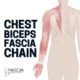 The 7 Most Important Fascia Chains - FASCIA TRAINING ACADEMY