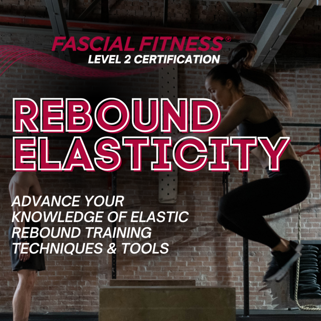Rebound Elasticity - FASCIA TRAINING ACADEMY